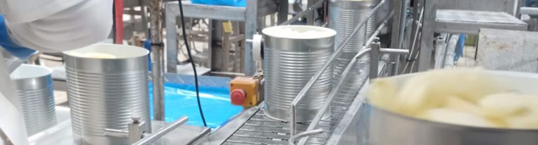 Elaboración de Manzana en Almíbar en Conservas Lazaya
